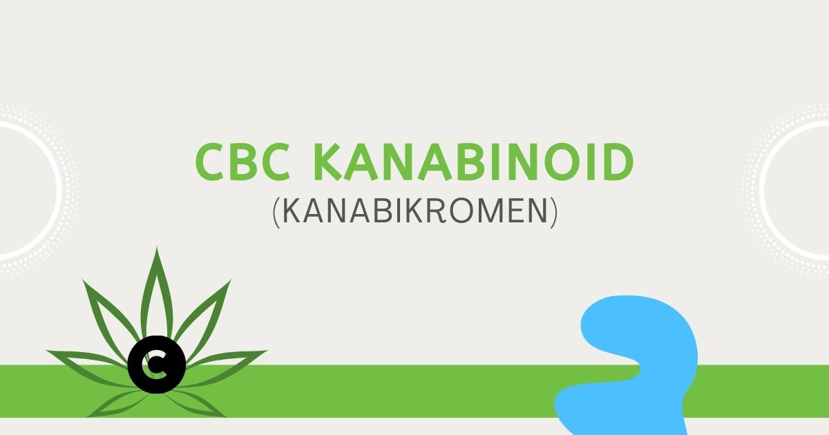 Kdaj uporabljati CBC? Prednosti, uporaba in učinki